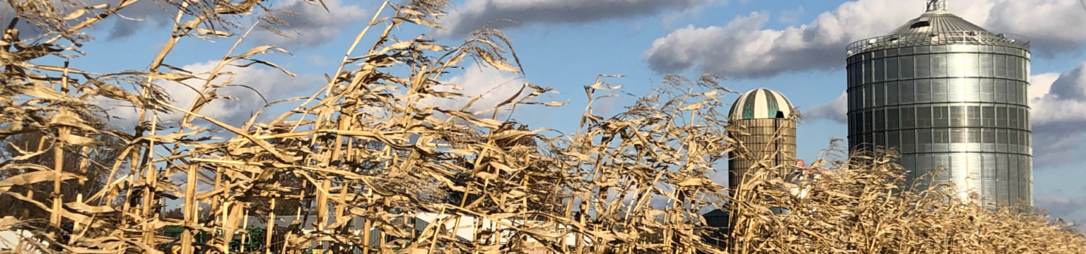 Family-Owned Popcorn Farm Has Quality Focus - Grounded by the Farm