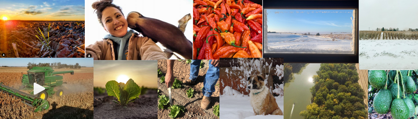 Farmers Rocking Instagram Feeds - Grounded by the Farm