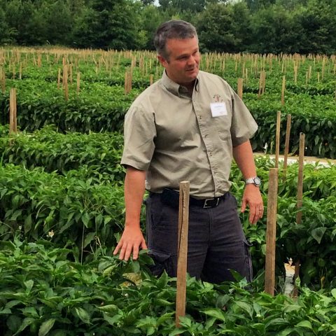 How Americans Love of Spicy Food Gave Specialty Peppers Room to Grow