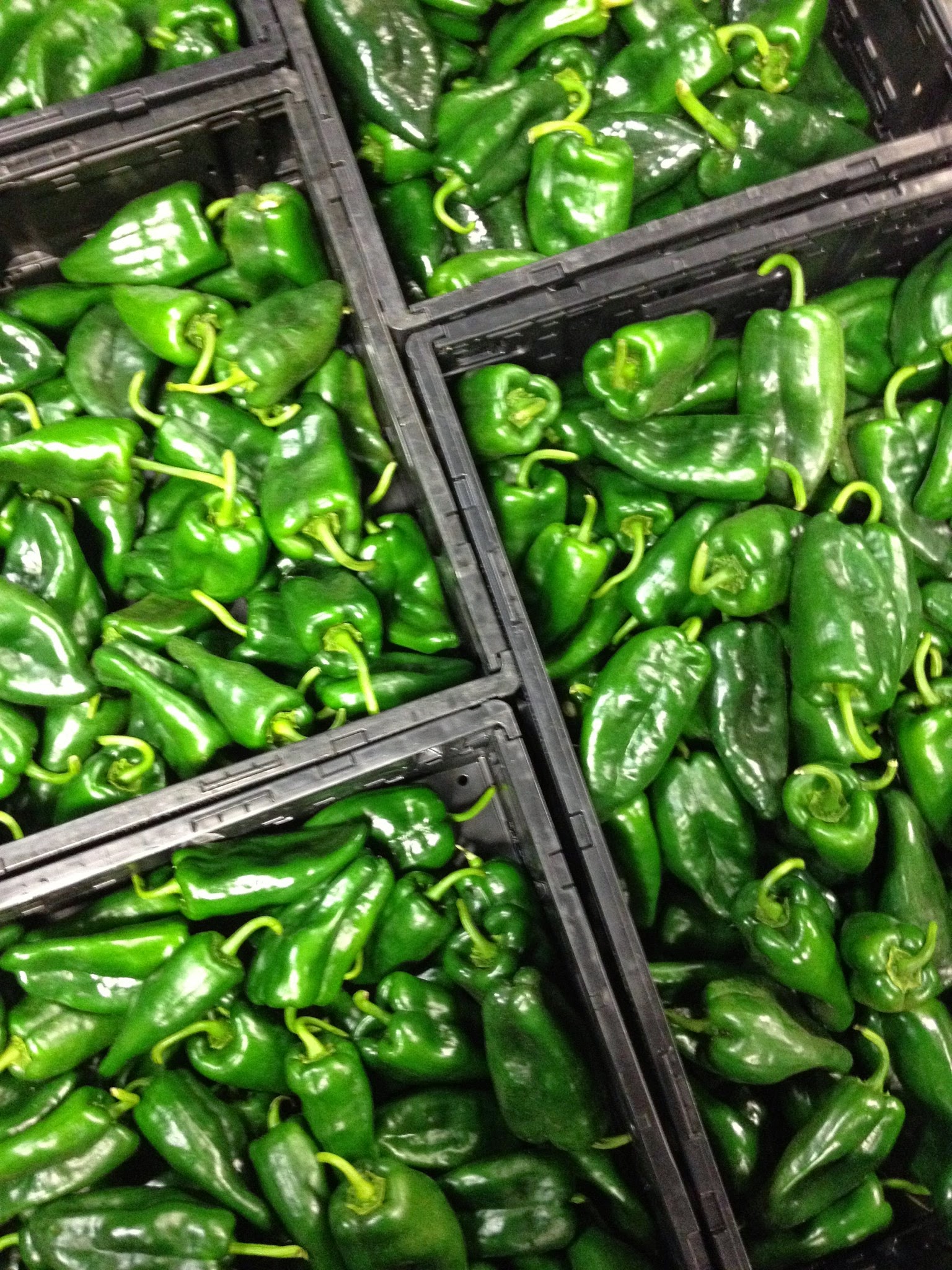 How Americans Love of Spicy Food Gave Specialty Peppers Room to Grow