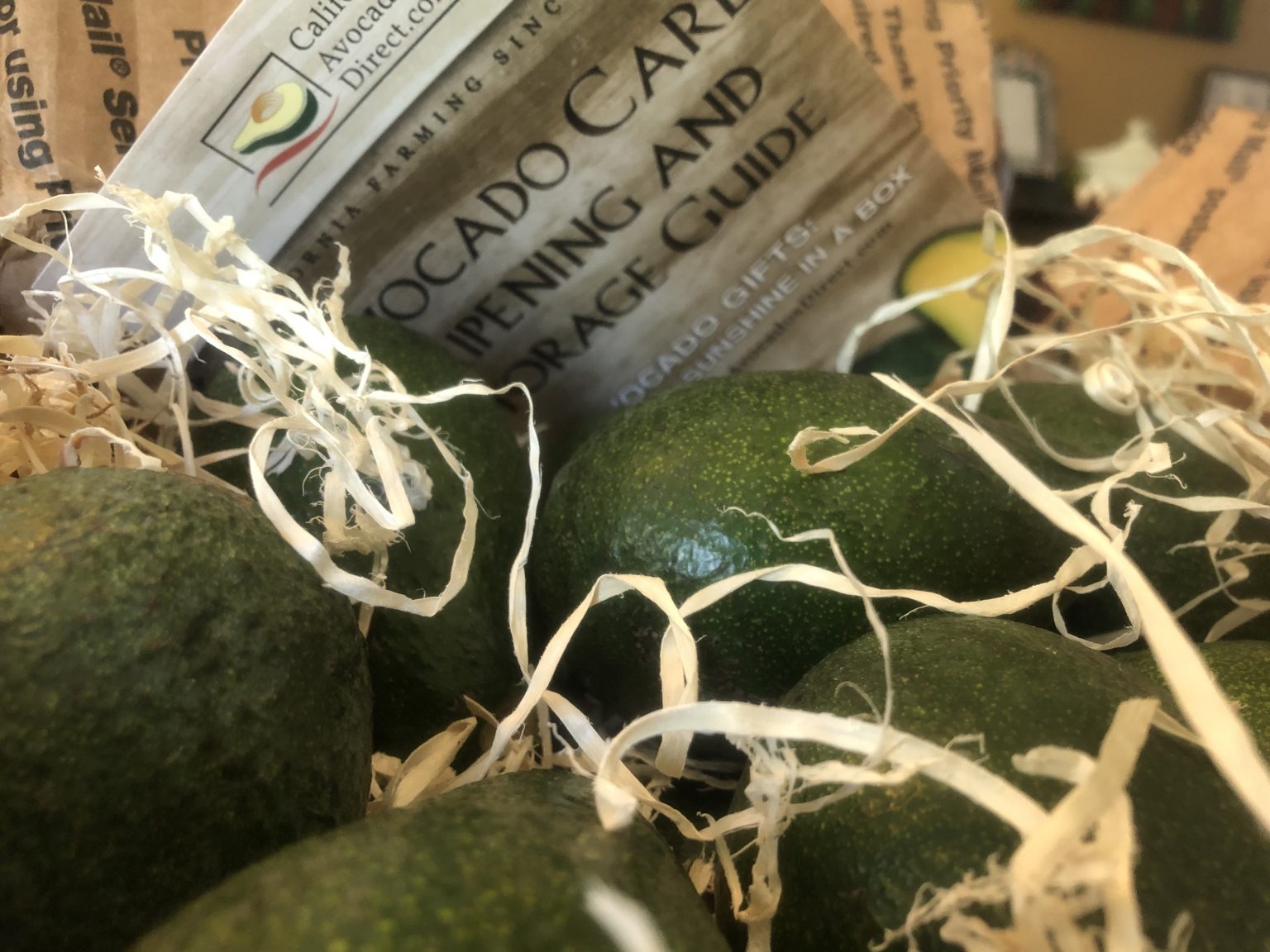 Getting the Perfect Avocado For Our Kitchens & The Farm - Grounded by ...