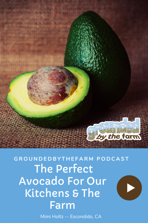 Getting the Perfect Avocado For Our Kitchens & The Farm - Grounded by ...