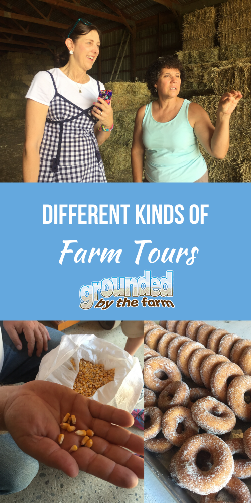 Different Types of Farm Tours & How to Take One - Grounded by the Farm