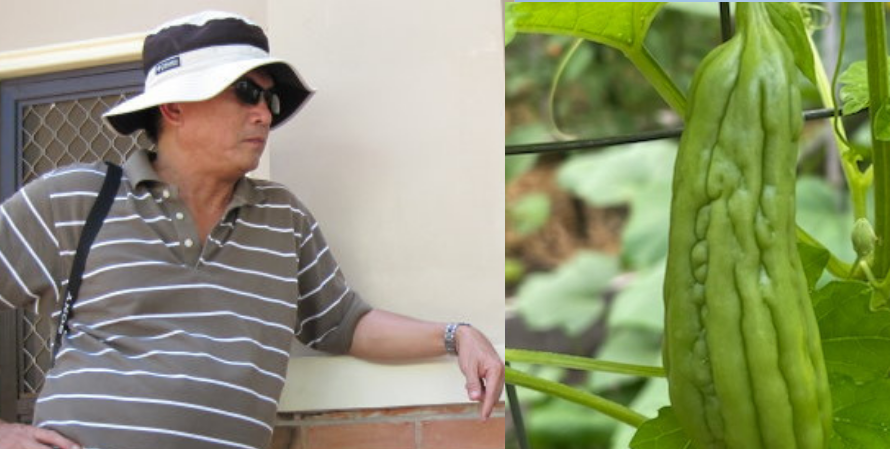 Growing Bitter Gourd & other Filipino Foods with Albert Santos ...