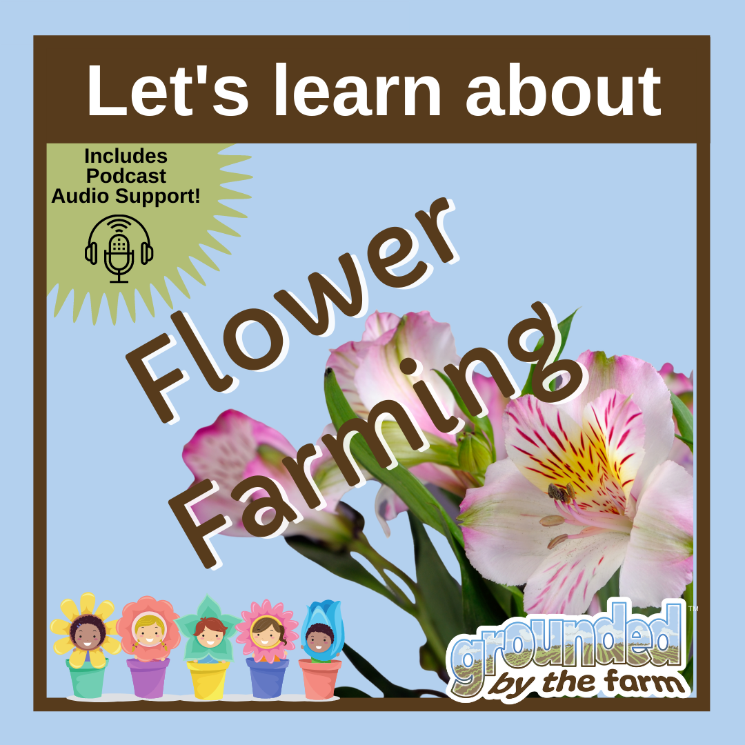 Farm and Food Curriculum Offers Discovery & Learning - Grounded by the Farm