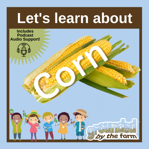 Farm and Food Curriculum Offers Discovery & Learning - Grounded by the Farm