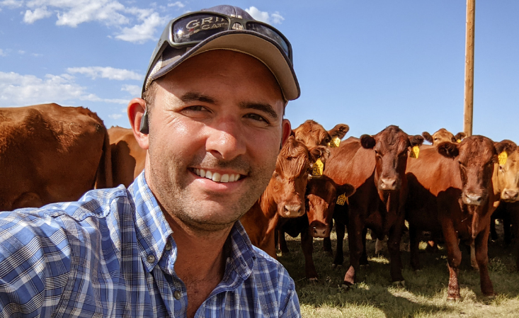 Cattle Care and Feeding: What You Should Know If You Like Beef