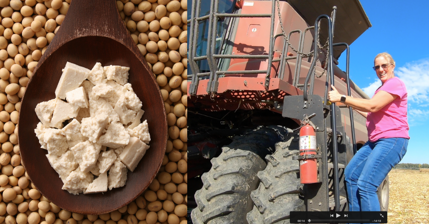 Growing Tofu Soybeans, Grapes, Grain & More: The Planning It Takes to ...