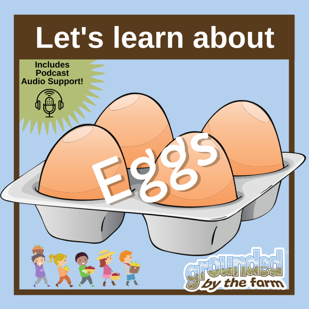 Farm and Food Curriculum Offers Discovery & Learning - Grounded by the Farm