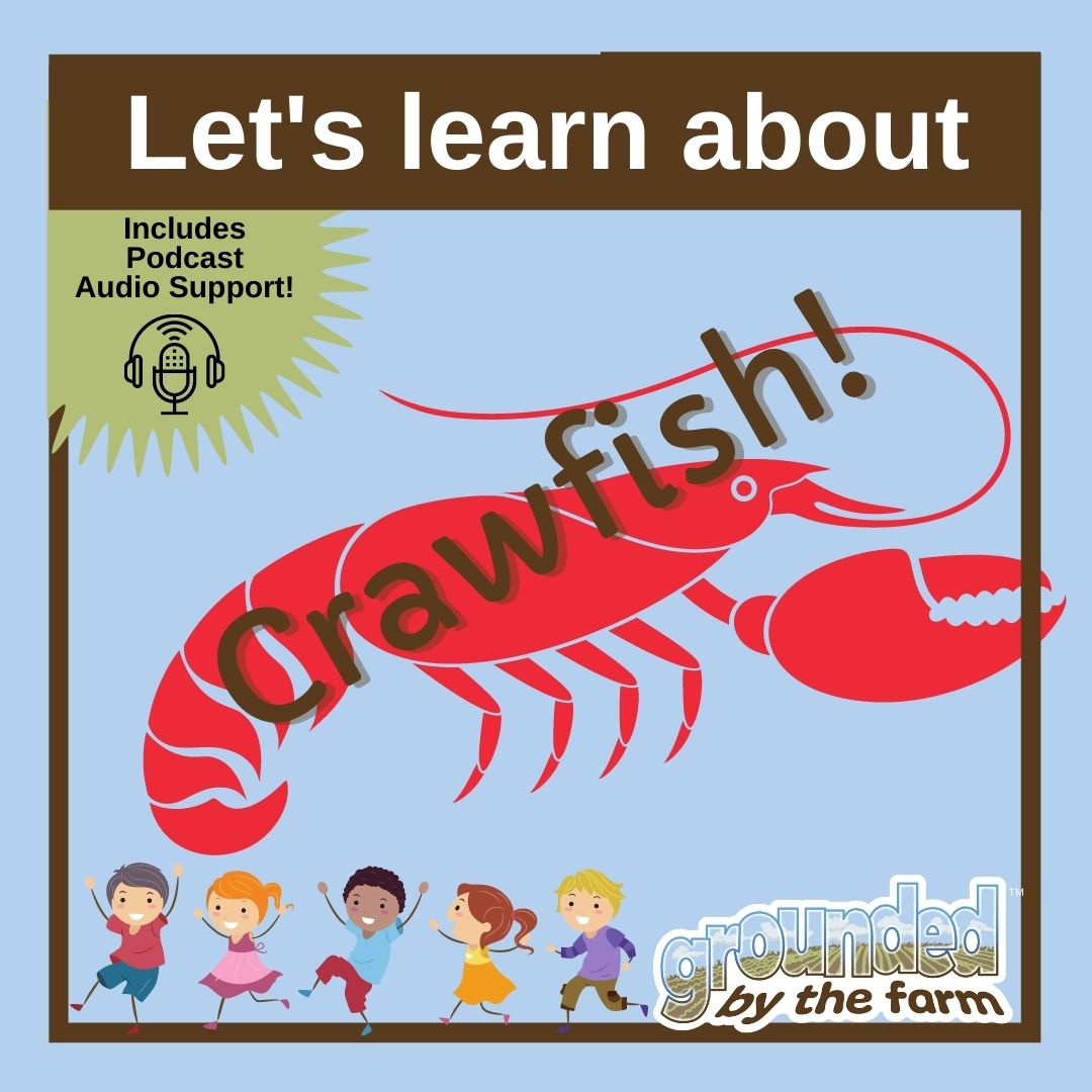 Farm and Food Curriculum Offers Discovery & Learning - Grounded by the Farm