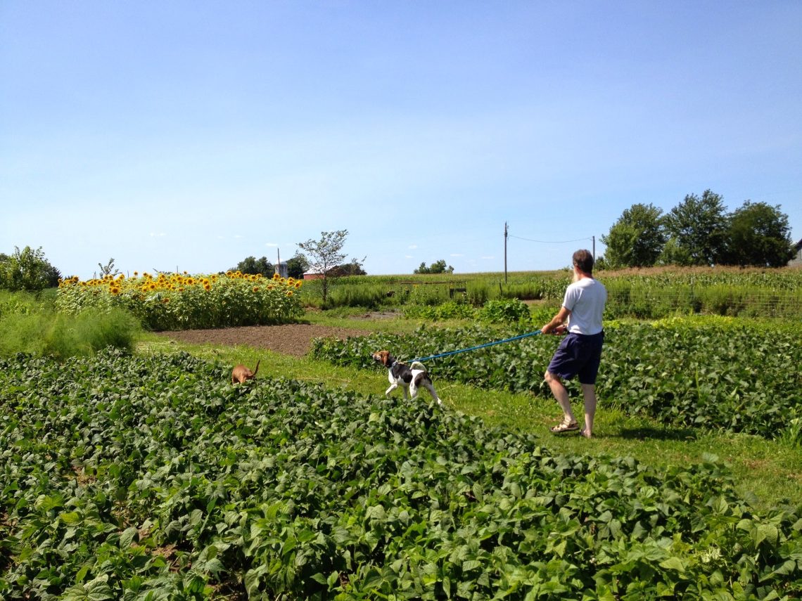 My Brother's Farm Co-op: Two Decades of Food Self-Sufficiency ...