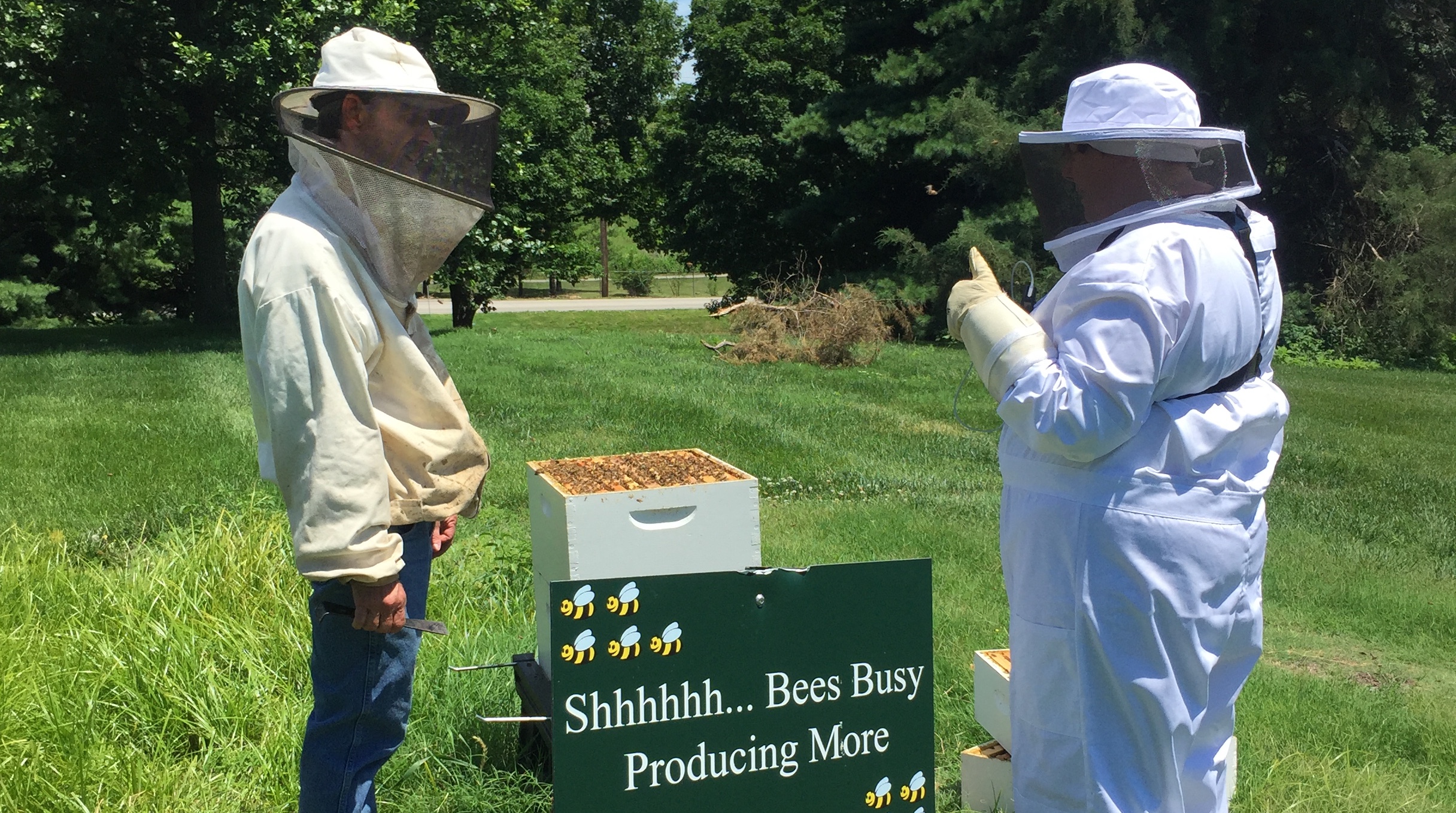 Visiting a Beehive for the First Time - What I Learned - Grounded by ...