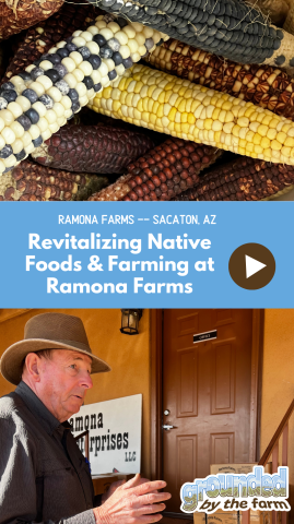 Revitalizing Native Foods & Farming at Ramona Farms