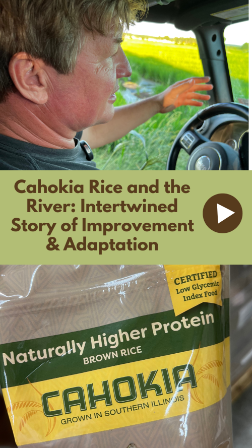 Cahokia Rice and the River: Intertwined Story of Improvement & Adaptation