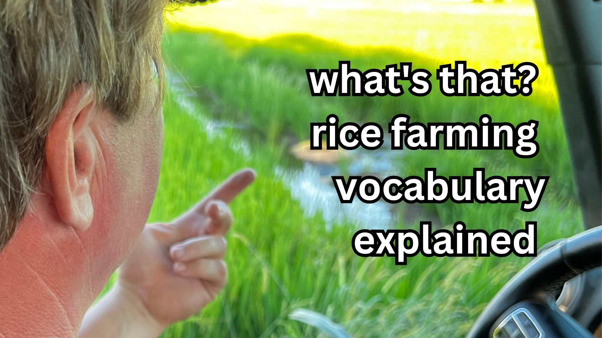 Rice Farming Terms and Phrases to Know